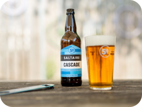 Our Companies | Paramount Retail Group